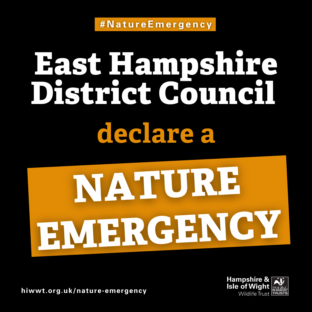 East Hampshire District Council | Hampshire and Isle of Wight Wildlife ...